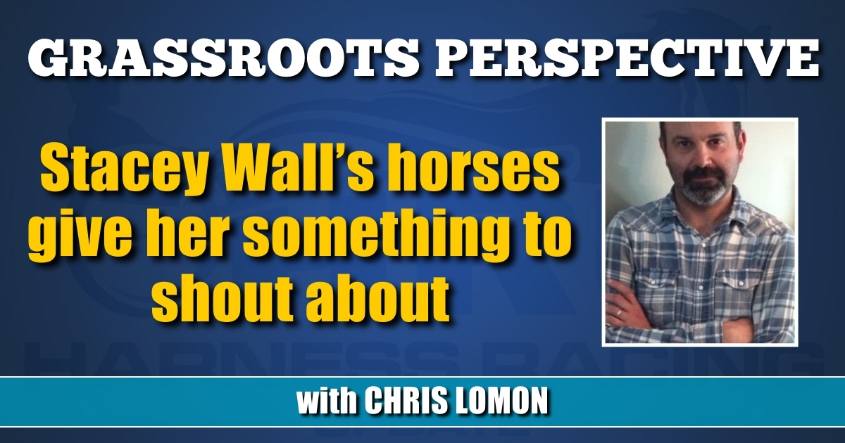 Stacey Wall’s horses give her something to shout about - Harness Racing ...