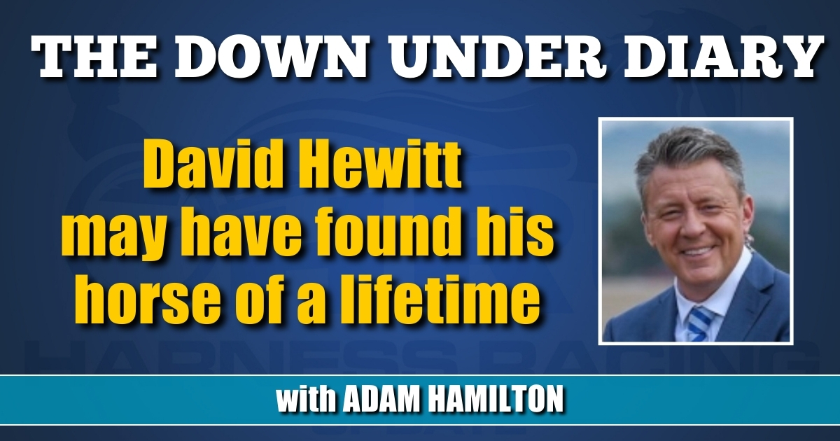 David Hewitt may have found his horse of a lifetime - Harness Racing Update