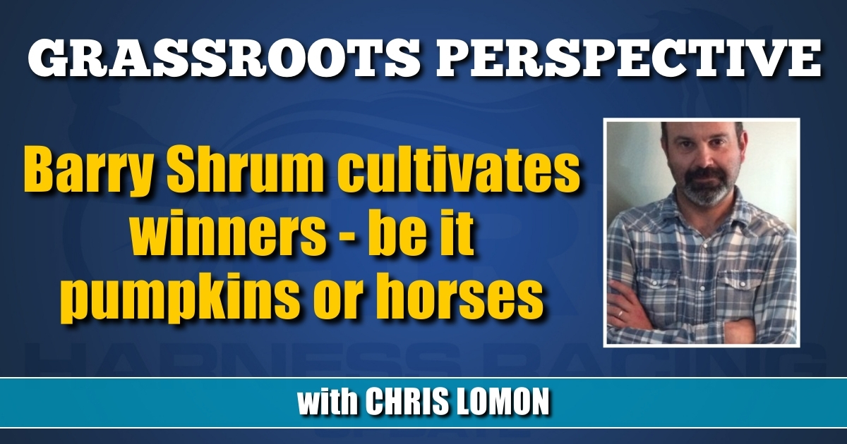 Barry Shrum cultivates winners - be it pumpkins or horses - Harness ...