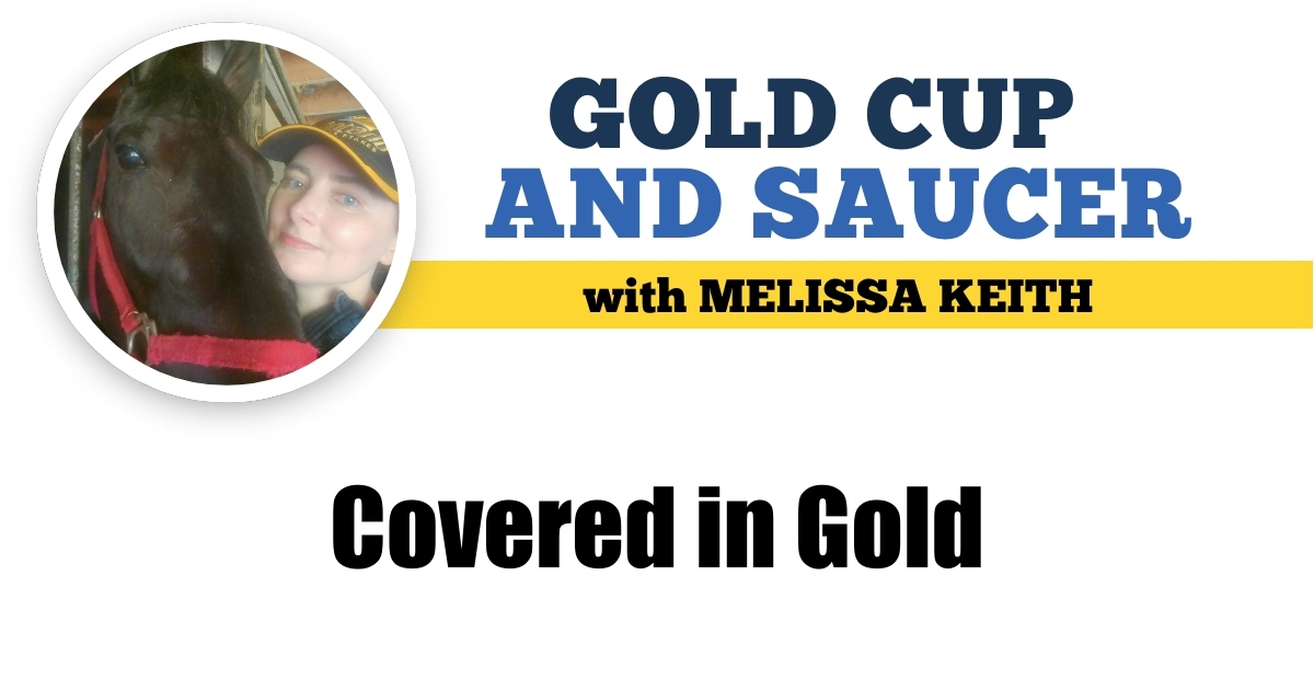 Covered in Gold - Harness Racing Update