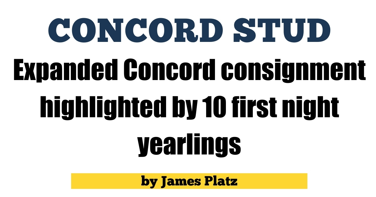 Expanded Concord consignment highlighted by 10 first night yearlings ...