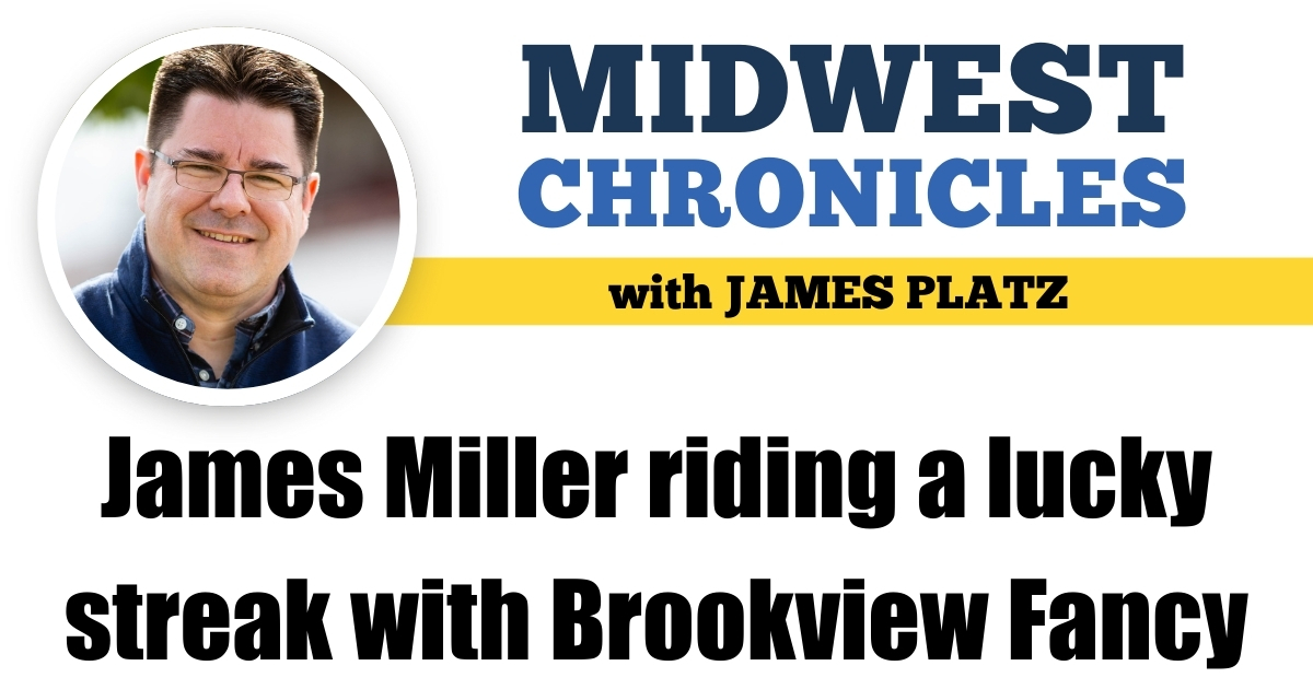 James Miller riding a lucky streak with Brookview Fancy - Harness ...