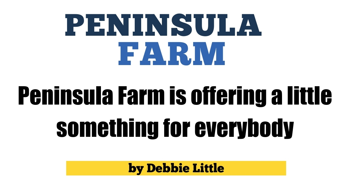 Peninsula Farm is offering a little something for everybody - Harness ...