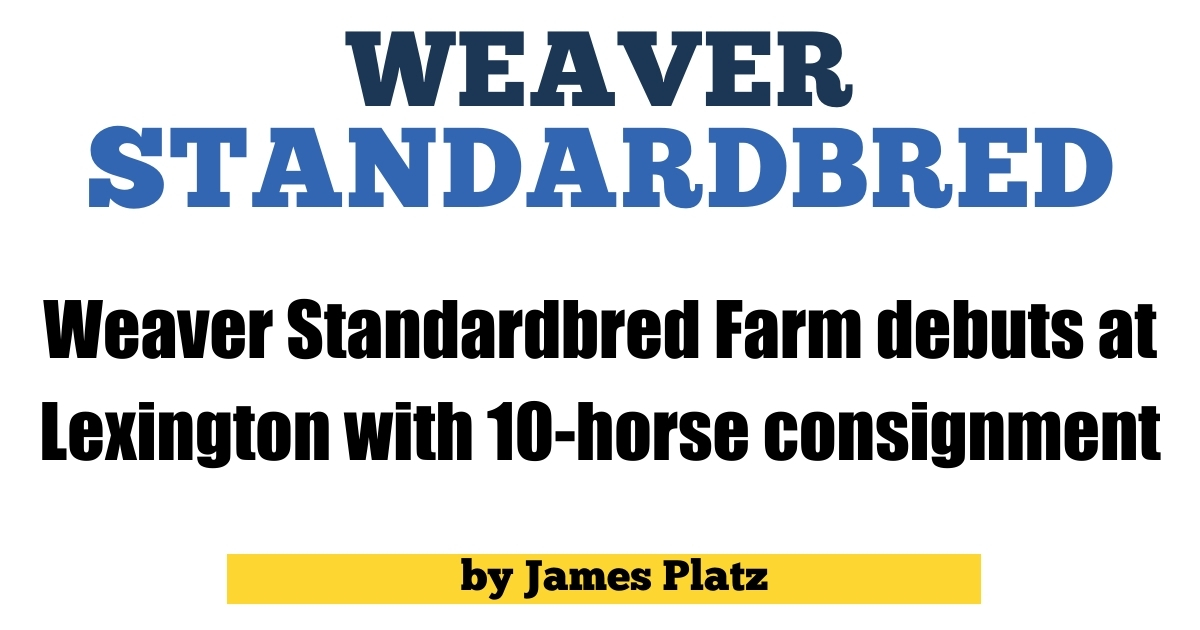 Weaver Standardbred Farm debuts at Lexington with 10-horse consignment ...