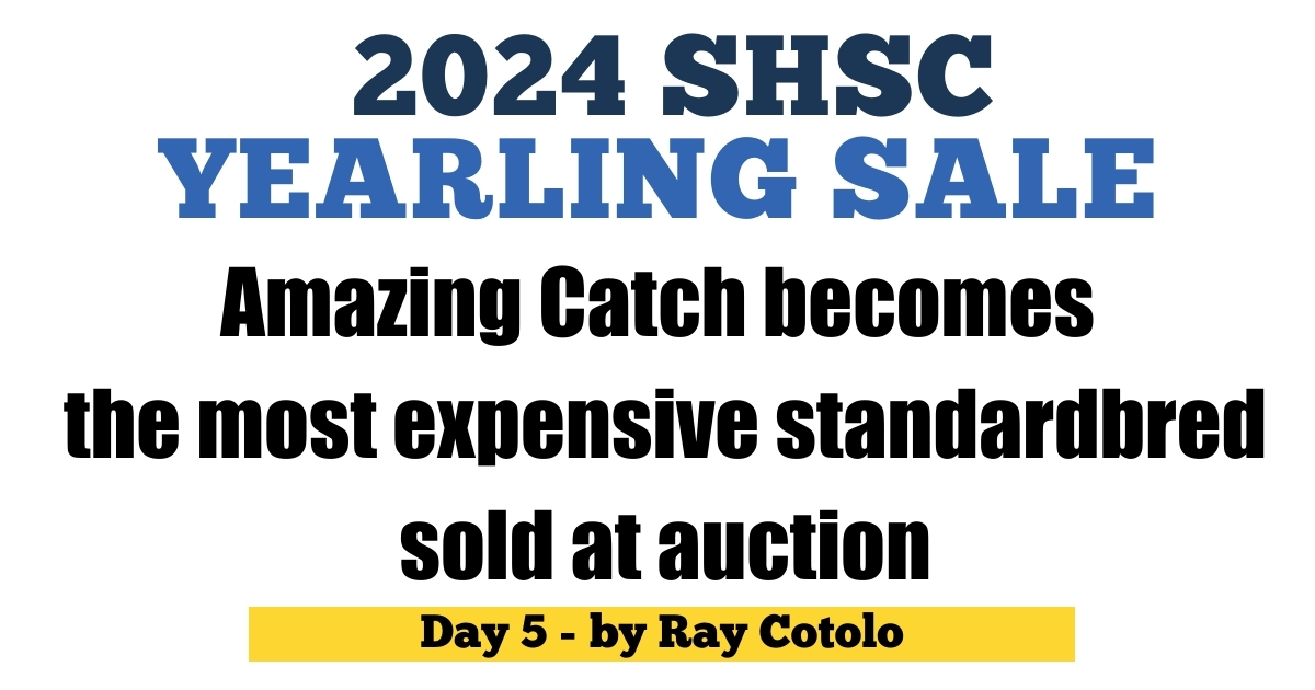 Amazing Catch becomes the most expensive standardbred sold at auction ...