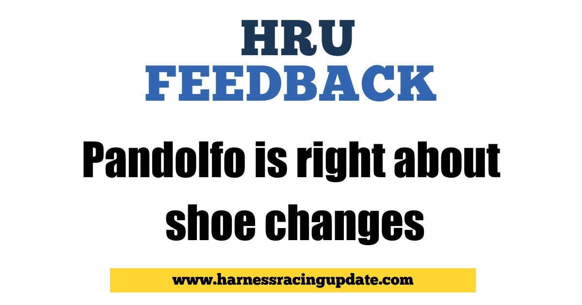 Pandolfo is right about shoe changes - Harness Racing Update