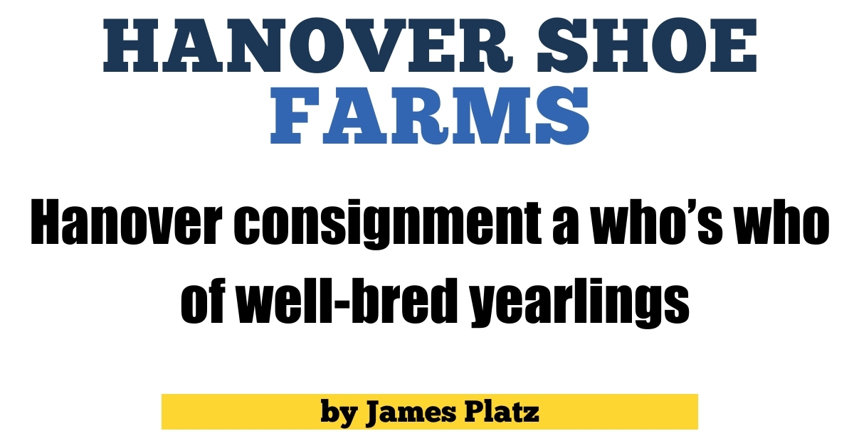 Hanover consignment a who’s who of well-bred yearlings - Harness Racing ...