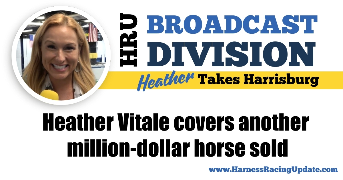 Heather Vitale covers another million-dollar horse sold - Harness ...