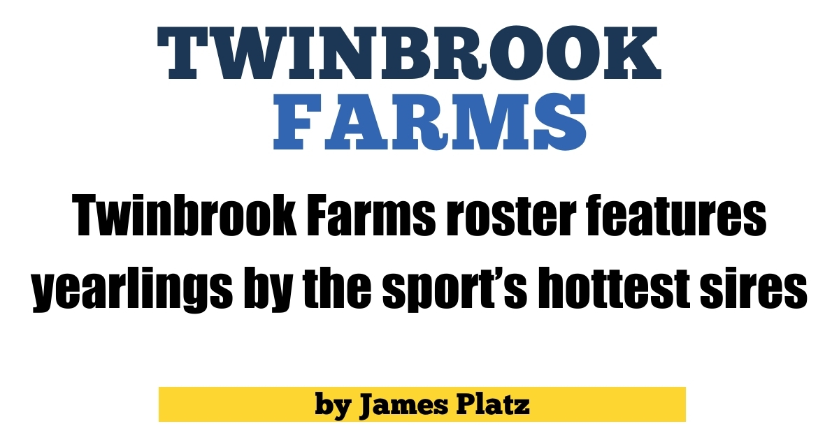 Twinbrook Farms roster features yearlings by the sport’s hottest sires ...