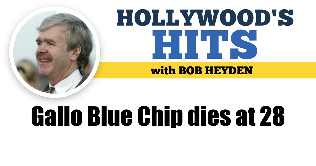 Gallo Blue Chip dies at 28 - Harness Racing Update