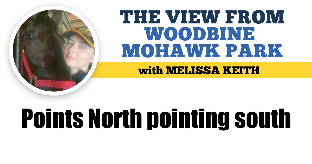 Points North pointing south - Harness Racing Update
