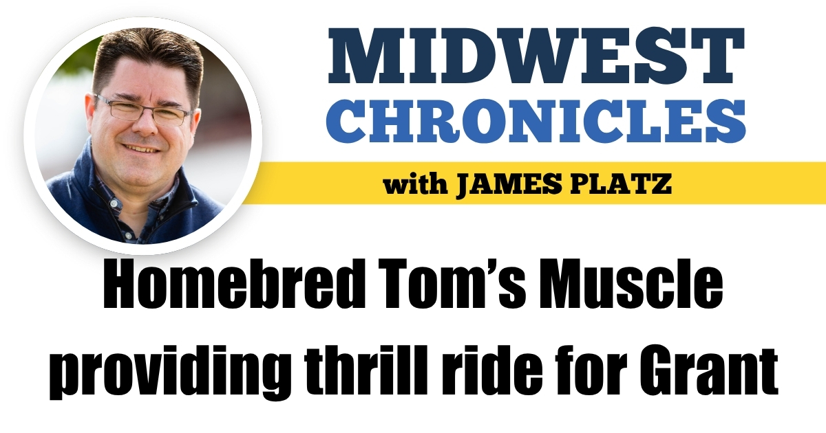Homebred Tom’s Muscle providing thrill ride for Grant - Harness Racing ...