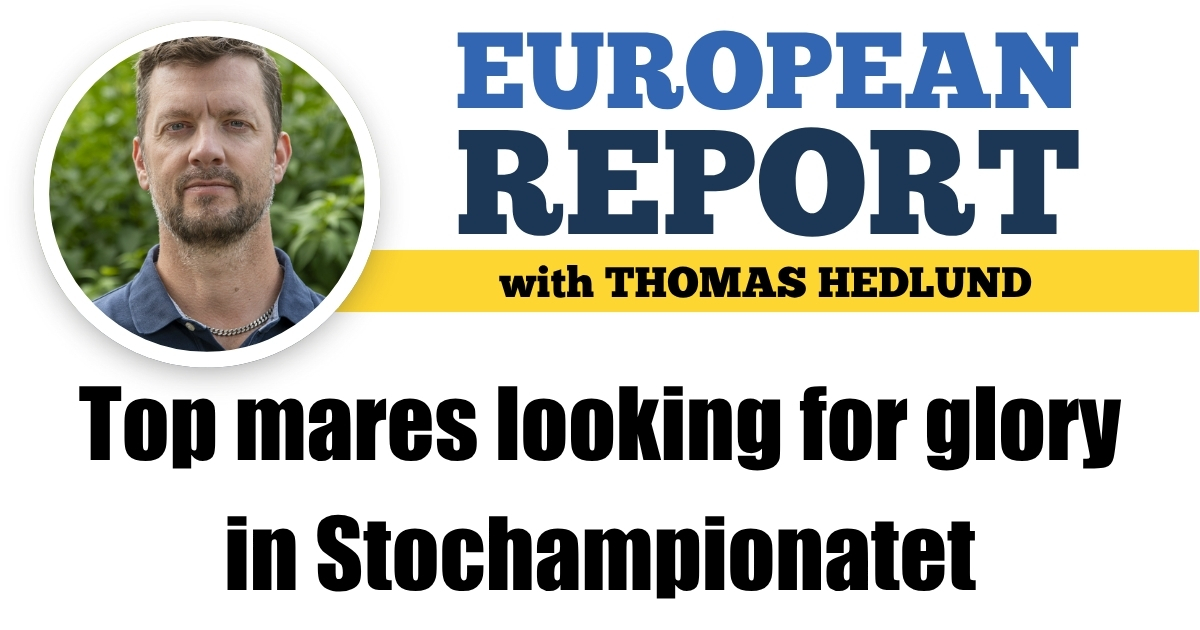Top mares looking for glory in Stochampionatet - Harness Racing Update