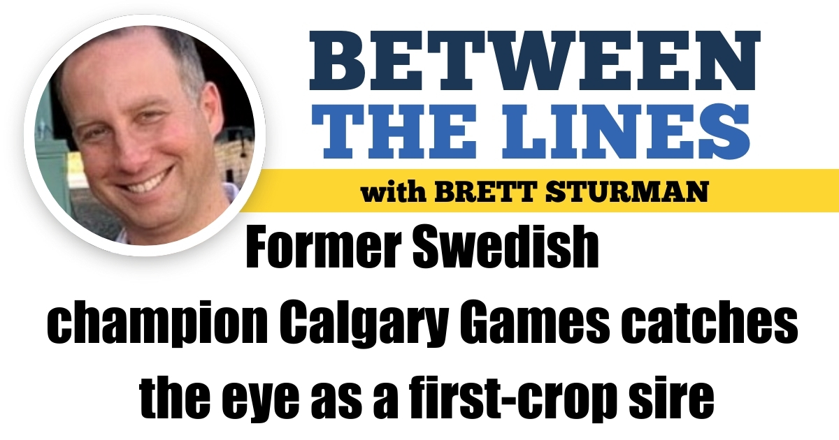 Former Swedish champion Calgary Games catches the eye as a first-crop ...