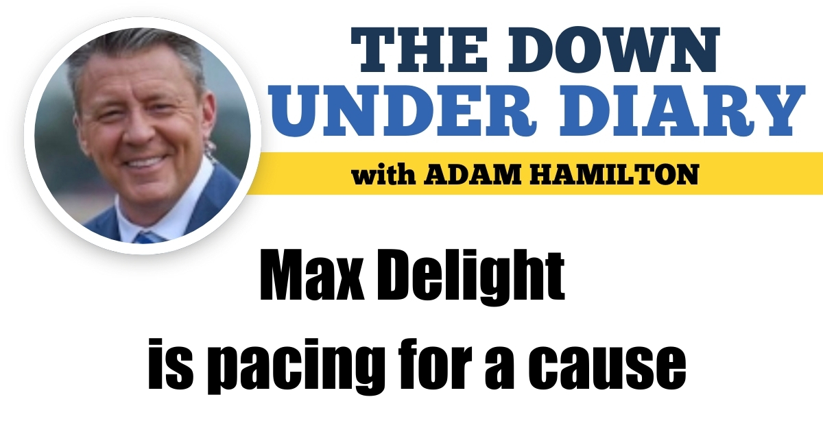 Max Delight is pacing for a cause - Harness Racing Update