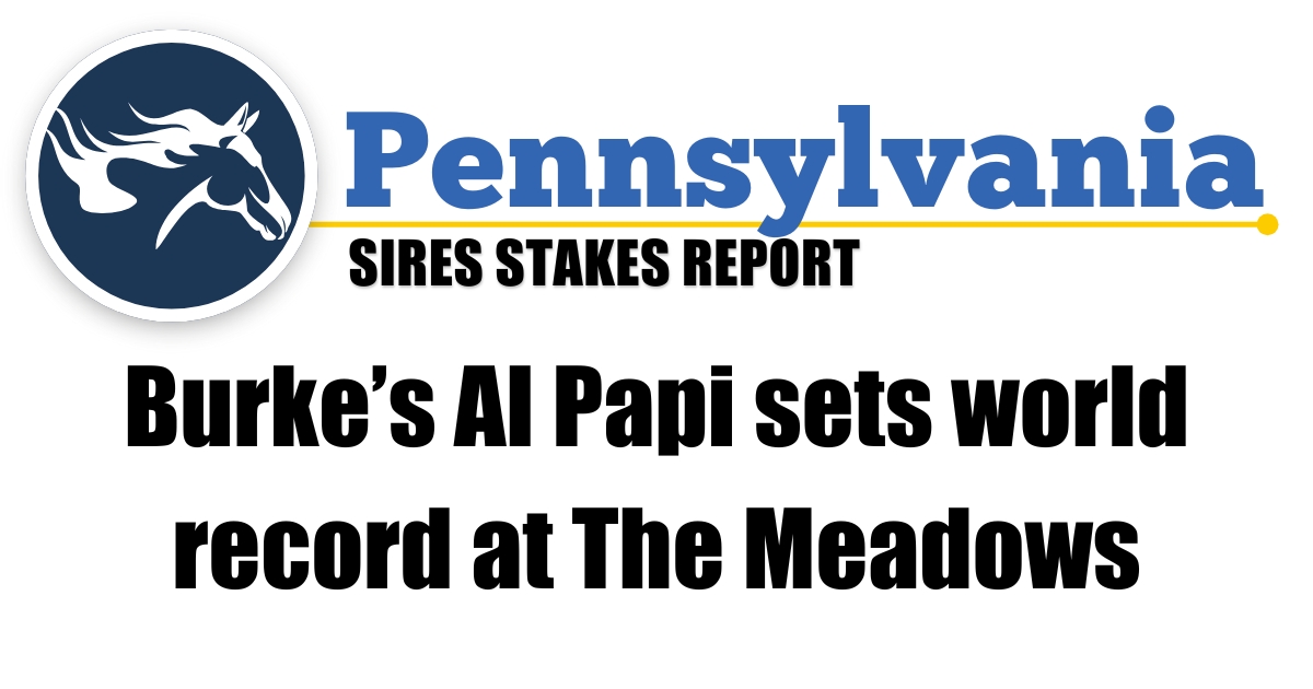 Burke’s Al Papi sets world record at The Meadows - Harness Racing Update