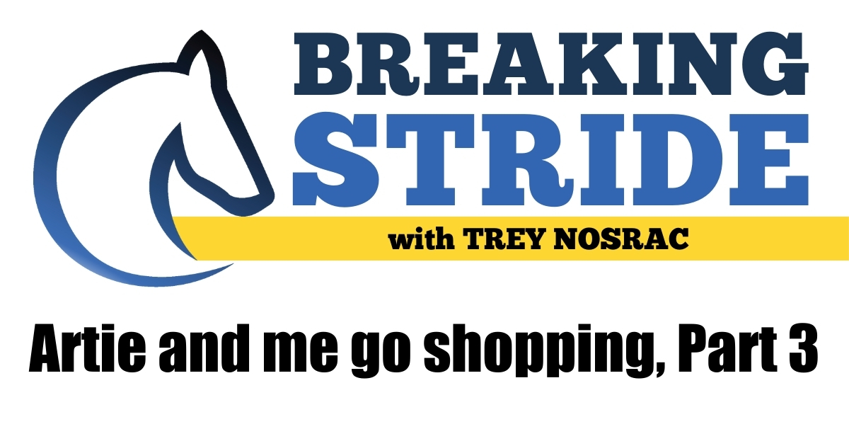 Harness Racing Update