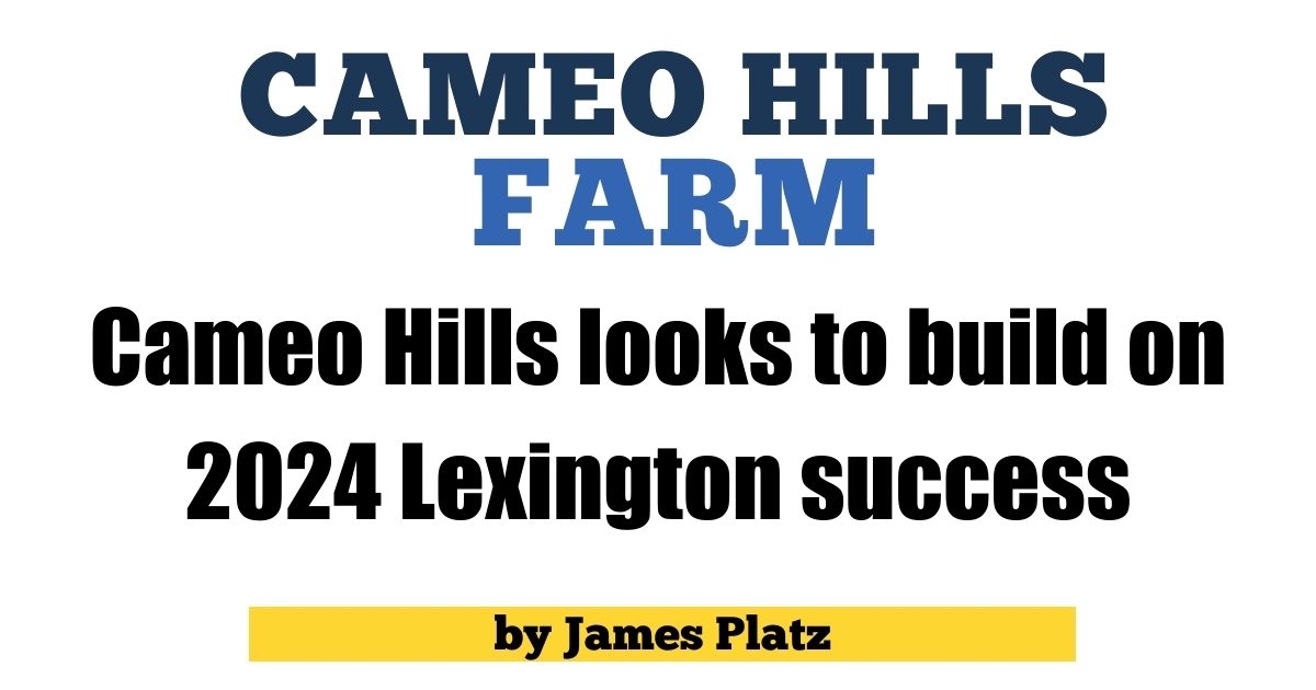 Cameo Hills looks to build on 2024 Lexington success - Harness Racing ...