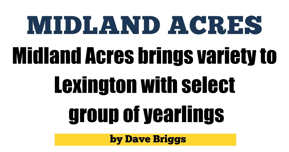 Midland Acres brings variety to Lexington with select group of ...