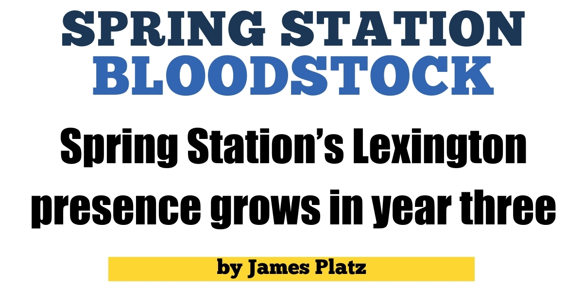 Spring Station’s Lexington presence grows in year three - Harness ...