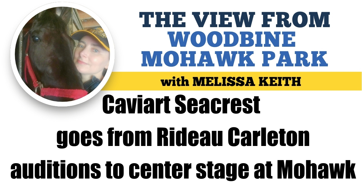 Caviart Seacrest goes from Rideau Carleton auditions to center stage at Mohawk - Harness Racing ...