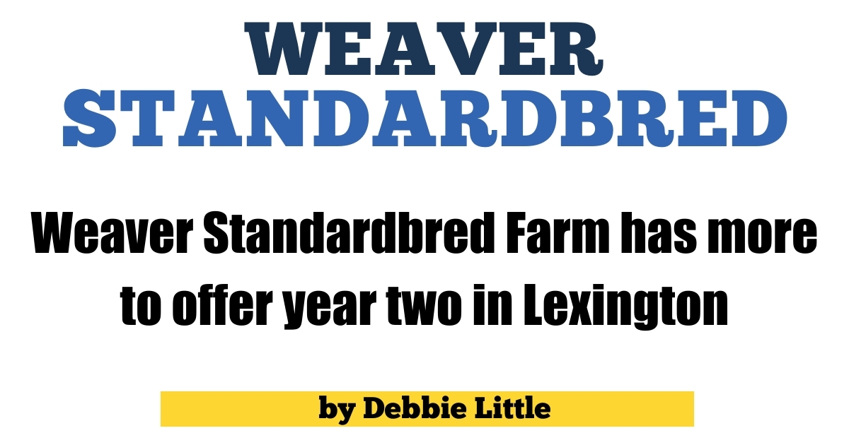 Weaver Standardbred Farm has more to offer year two in Lexington ...