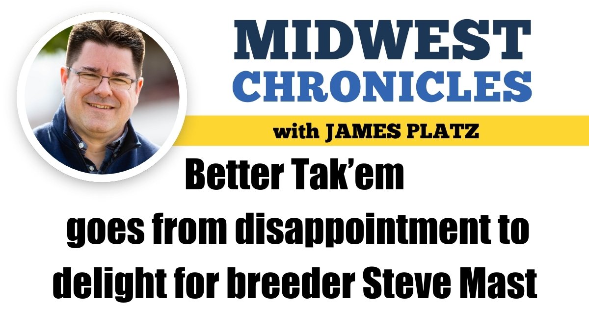 Better Tak’em goes from disappointment to delight for breeder Steve ...