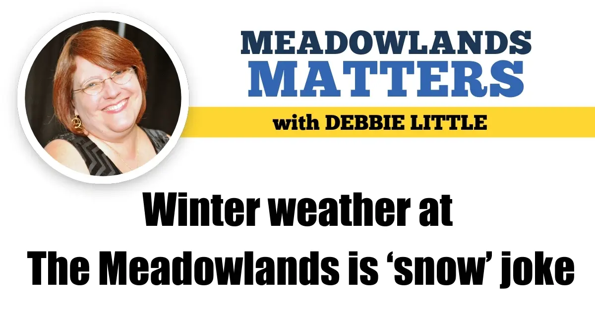 Winter weather at The Meadowlands is ‘snow’ joke - Harness Racing Update