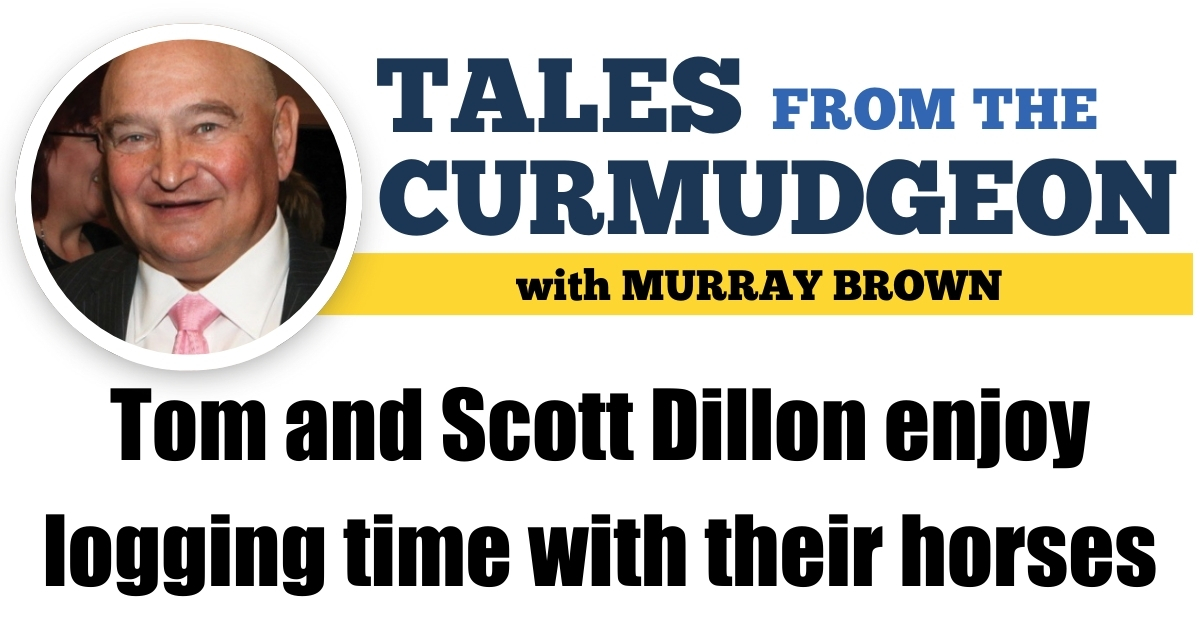 Tom and Scott Dillon enjoy logging time with their horses - Harness ...