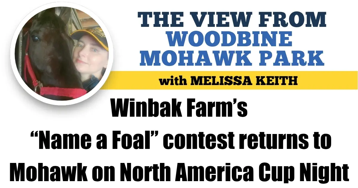 Winbak Farm’s “Name a Foal” contest returns to Mohawk on North America ...
